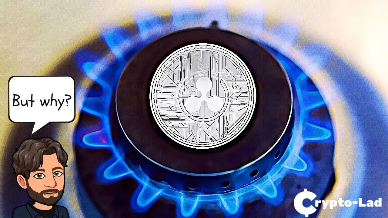 What Is A Coin Burn? | Cryptolad